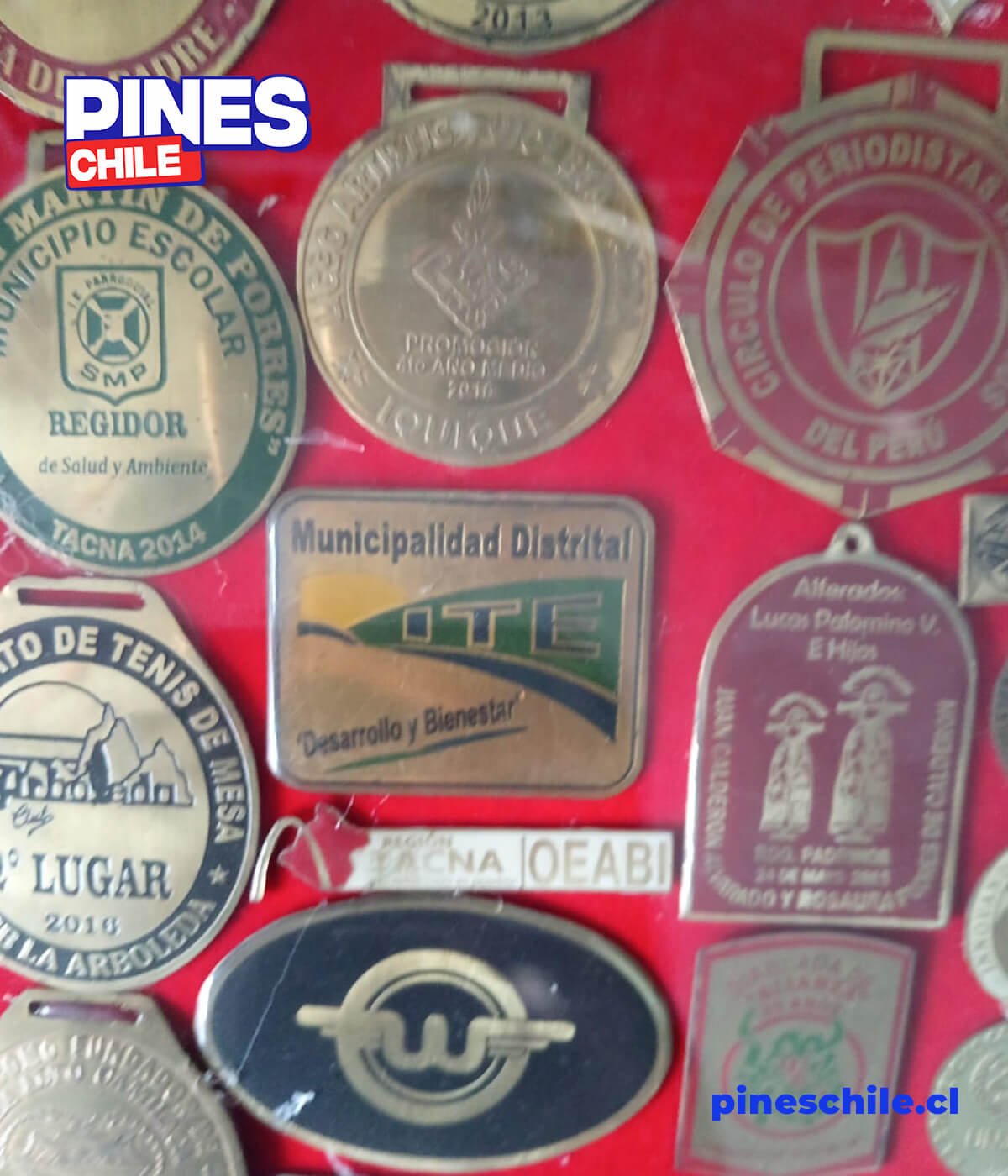 Pines Metalicos Personalizados Por Mayor